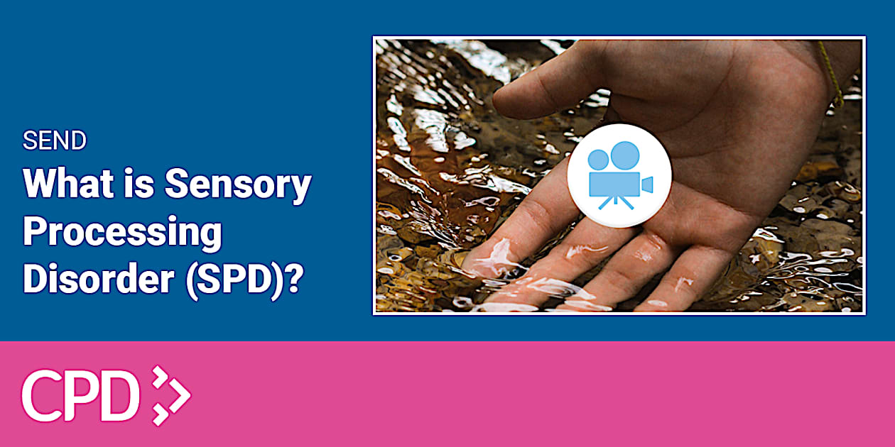 What is Sensory Processing? Inclusion CPD Video - Twinkl