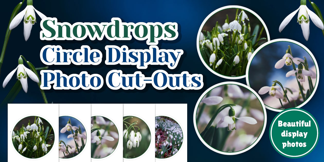 Snowdrops Circle Display Photo Cut-Outs