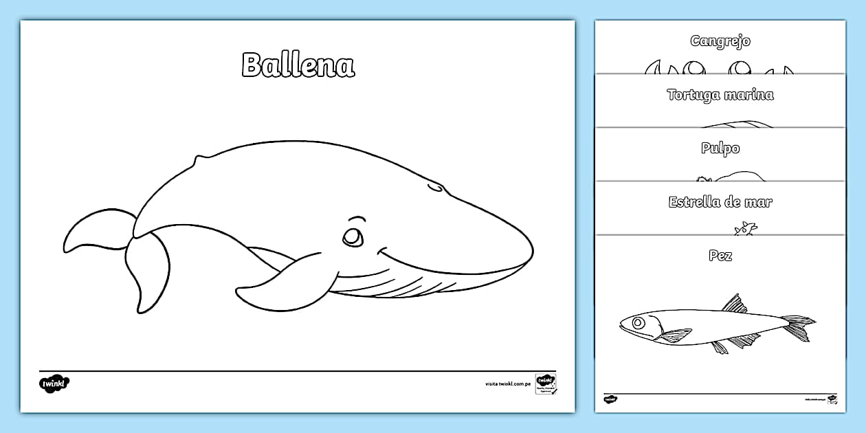 Hojas de colorear: animales del mar peruano (primaria baja)