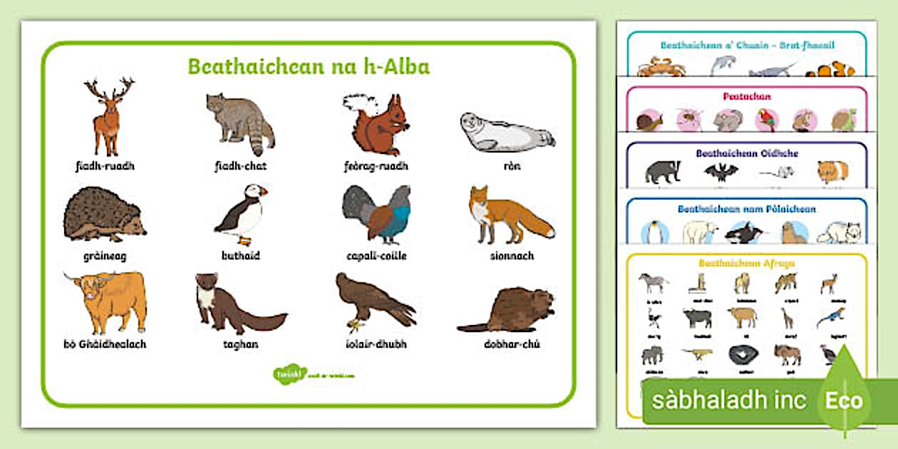 Ainmean Beathaichean an t-Saoghail – Bratan-facail