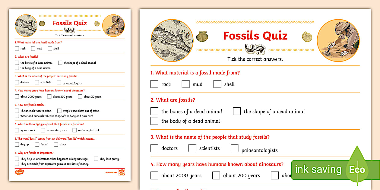 Fossils Quiz (Teacher-Made) - Twinkl