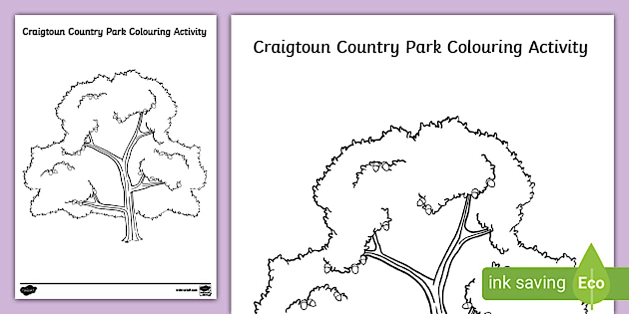 Craigtoun Country Park Colouring Page | Fun Activity