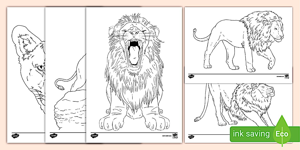 Lion Colouring Pages (teacher made) - Twinkl