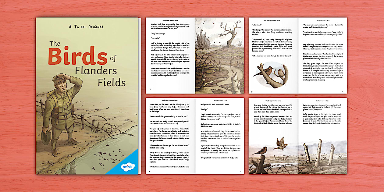 Remembrance Day Stories I Canada Twinkl (teacher made)