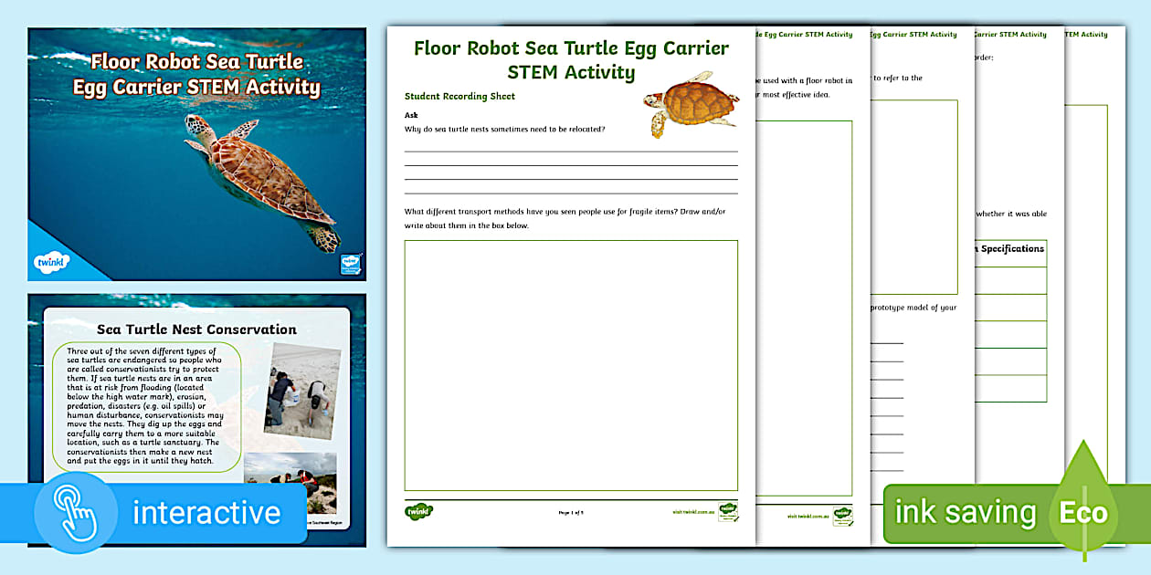 Floor Robot Sea Turtle Egg Carrier STEM Activity - Twinkl
