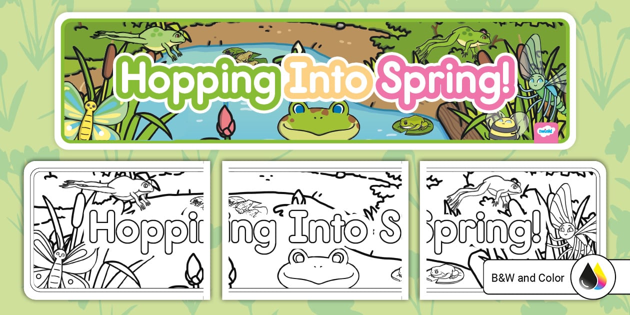 Hopping Into Spring! Bulletin Board Banner (teacher made)