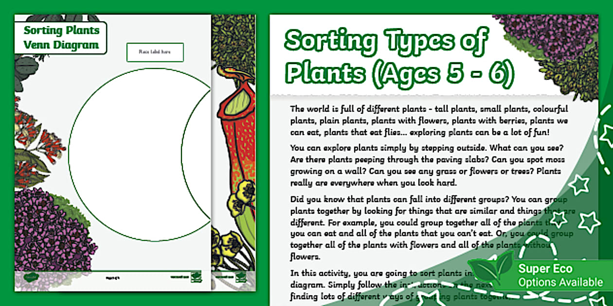 Sorting Types of Plants Activity (Ages 5 - 6) - Twinkl