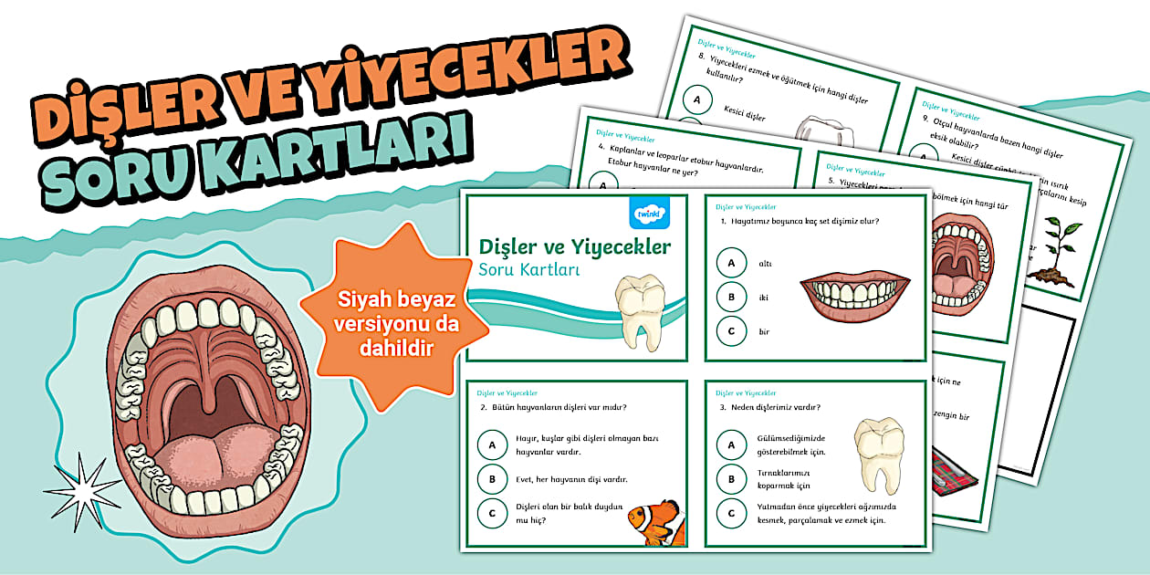 Dişler ve Yiyecekler | Soru Kartları