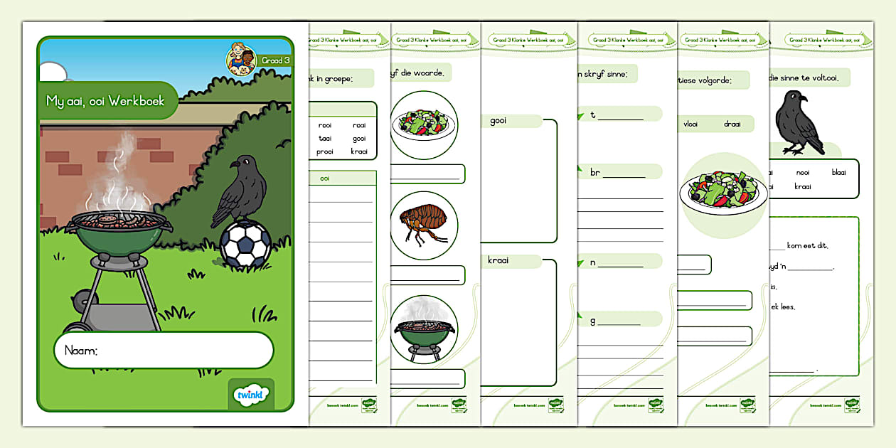 Graad 3 Klanke Werkboek aai, ooi (teacher made) - Twinkl