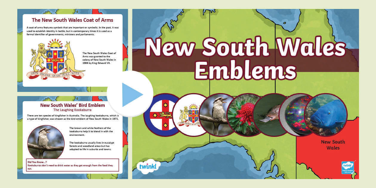 New South Wales Emblems PowerPoint (teacher made) - Twinkl
