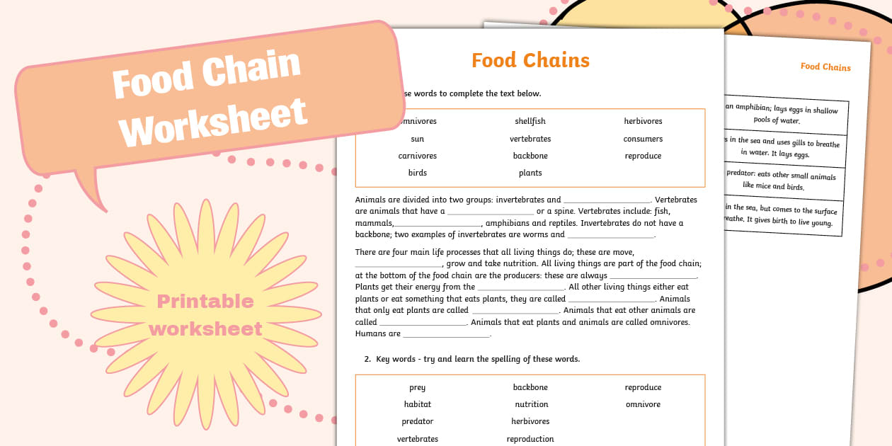 Food Chain Worksheet KS2 Science