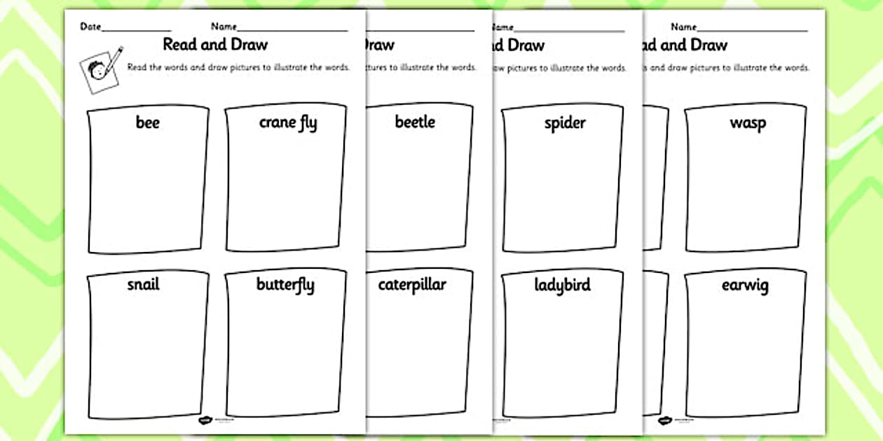 Minibeast Read and Draw Worksheet (teacher made) - Twinkl