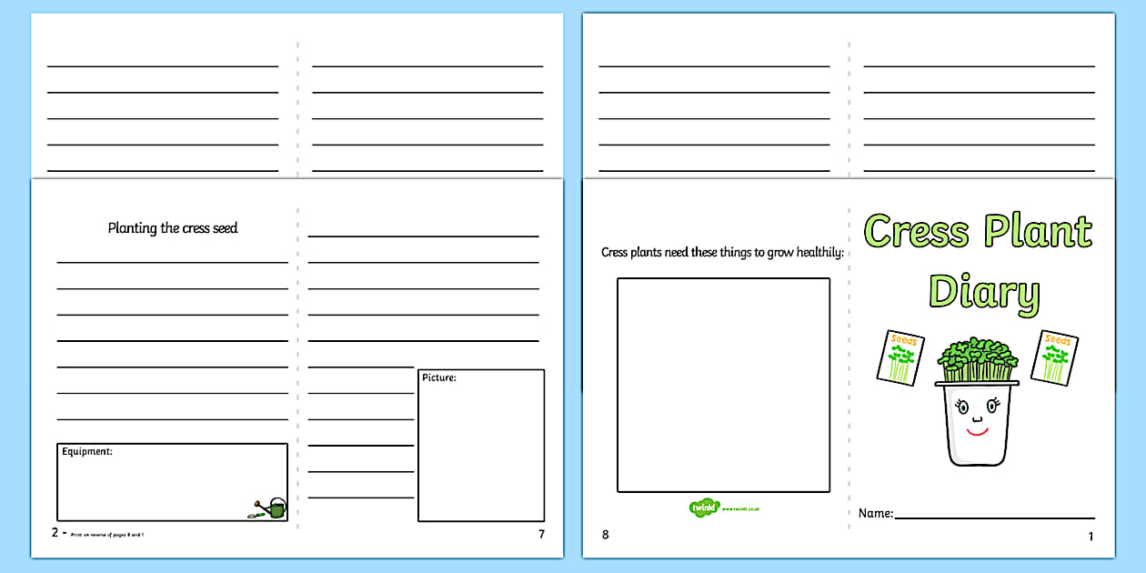 Cress Diary Writing Frame (teacher made) - Twinkl