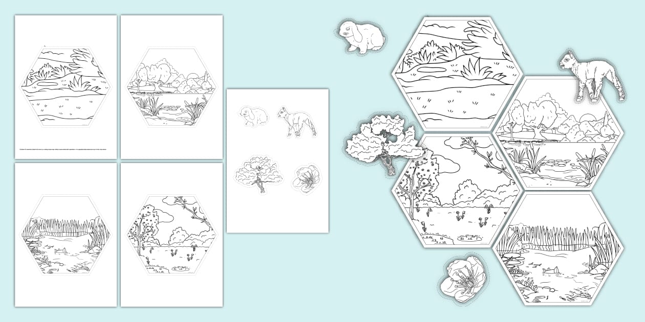 Spring Hexagon Display Colouring Activity (Teacher-Made)