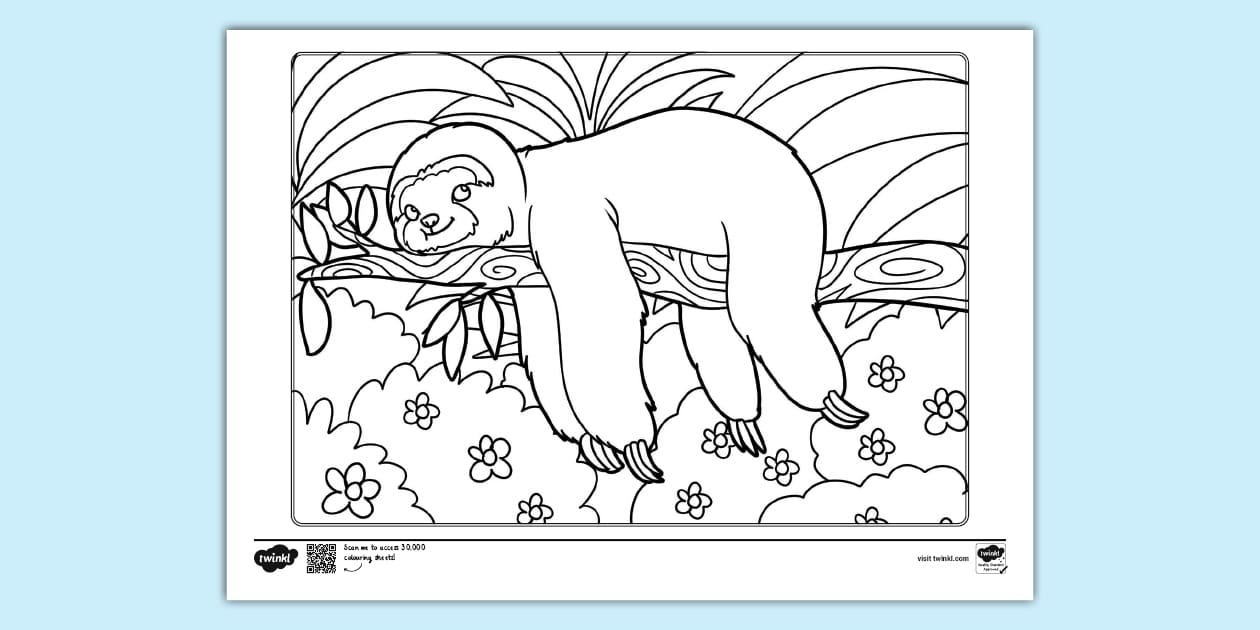 Baby Sloth Colouring Sheet | Primary Resources | Twinkl