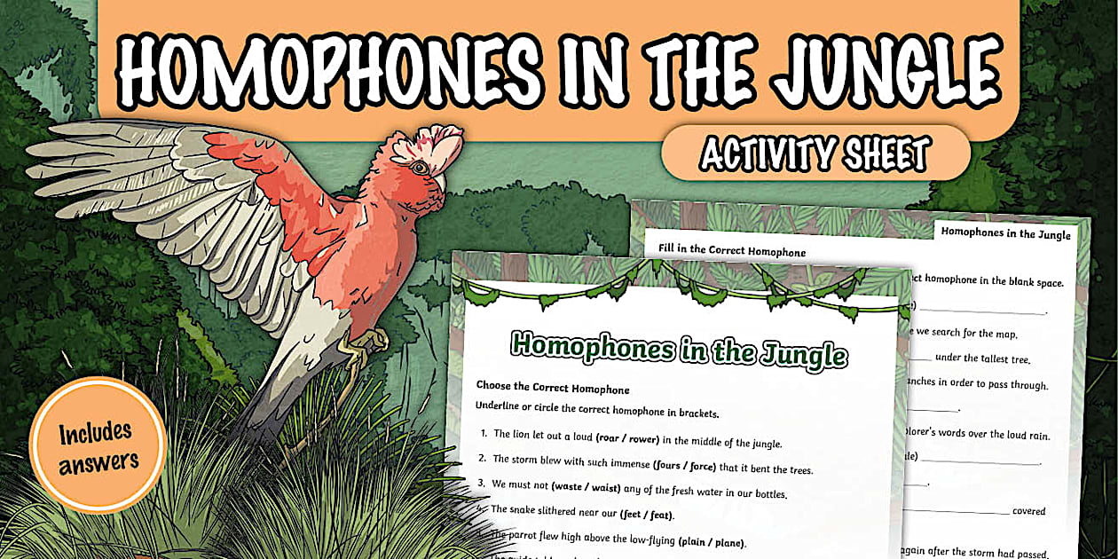 IP English – Homophones in the Jungle – Activity Sheet