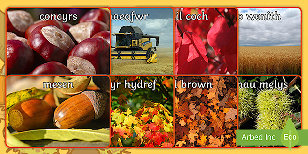 Lluniau Arddangos yr Hydref (teacher made) - Twinkl