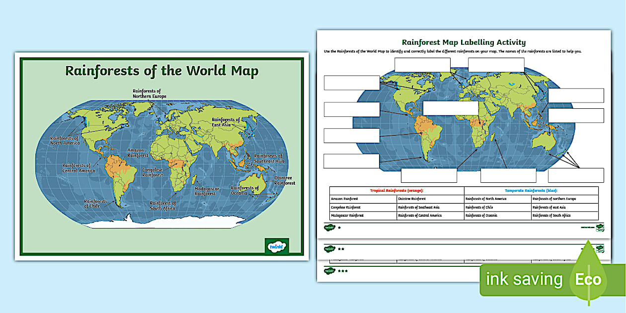 Editable Rainforest Map Labelling Activity - Twinkl
