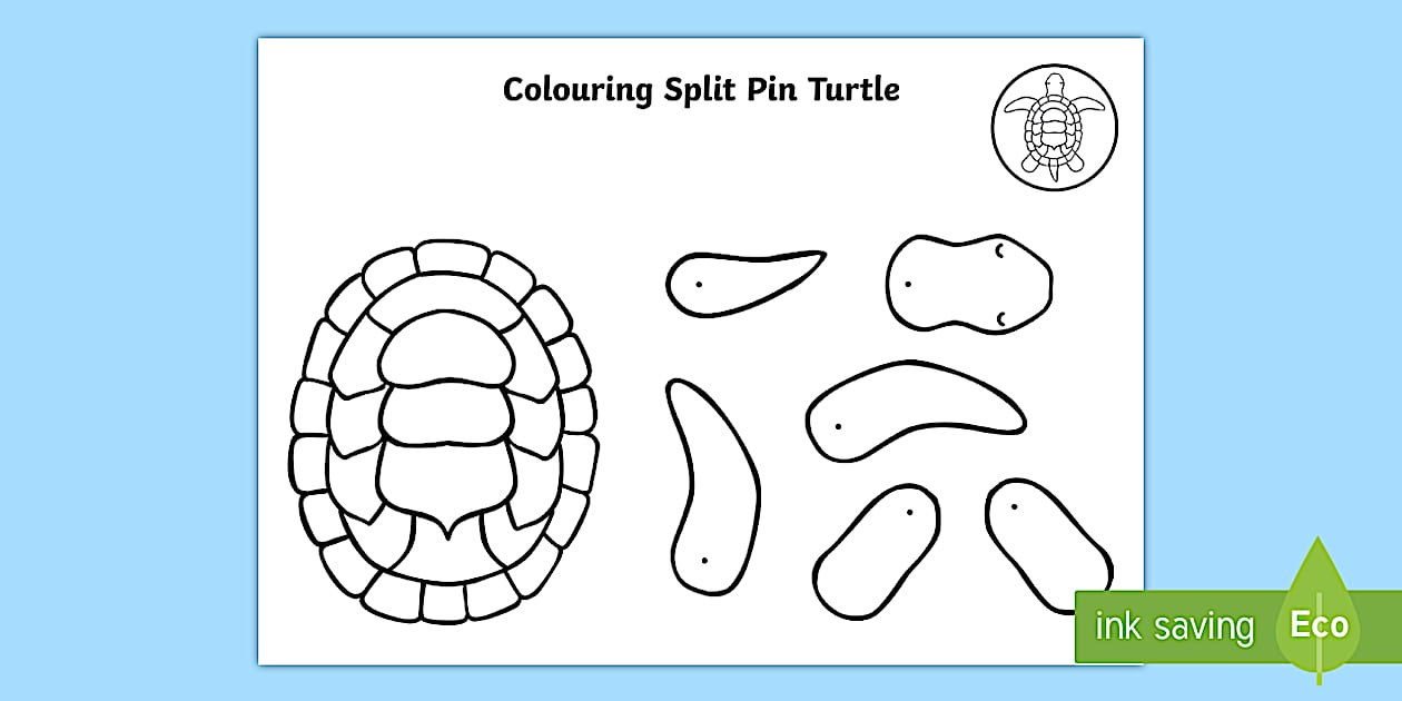 Turtle Split Pin Craft Template | EYLF Resources | Twinkl