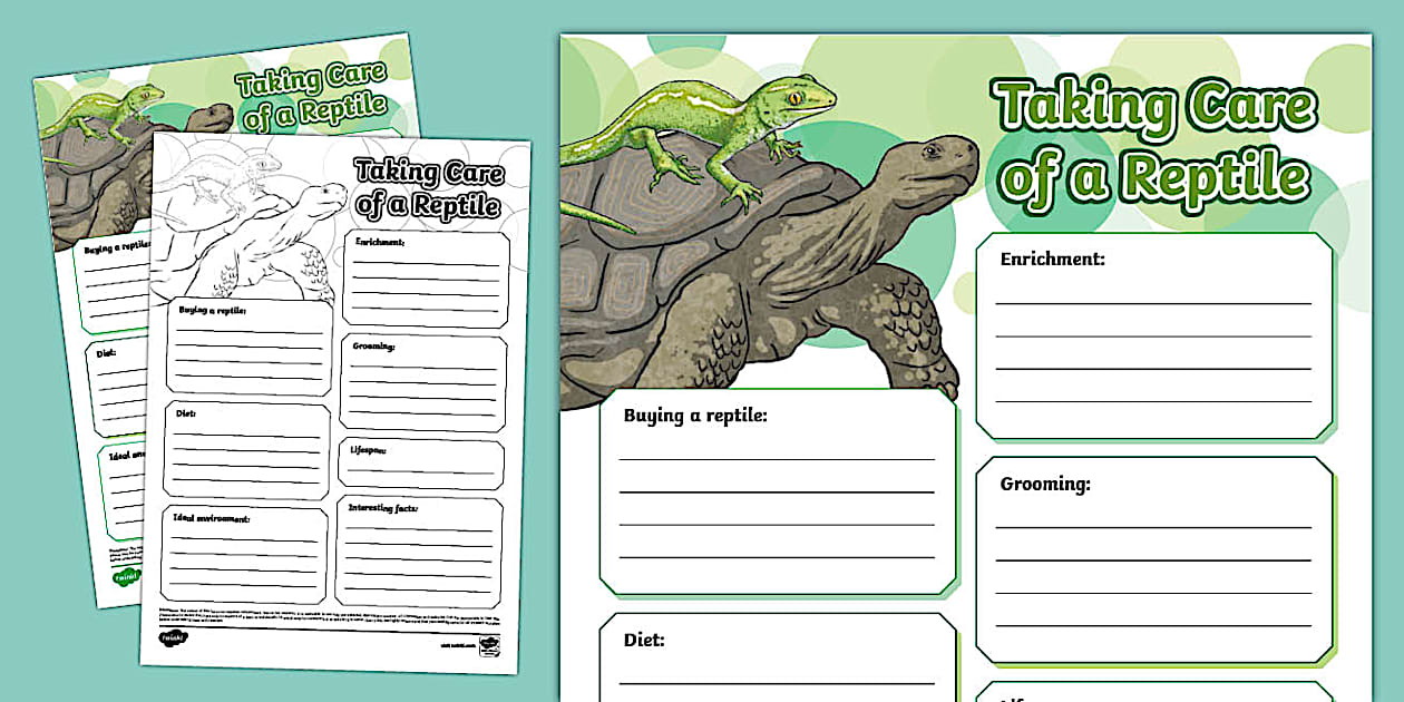 Taking Care of a Reptile Fact File Template - Twinkl