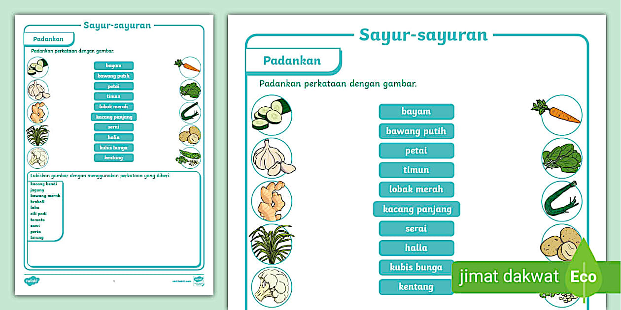 Lembaran Kerja Sayur-sayuran yang ceria dan menawan - Twinkl