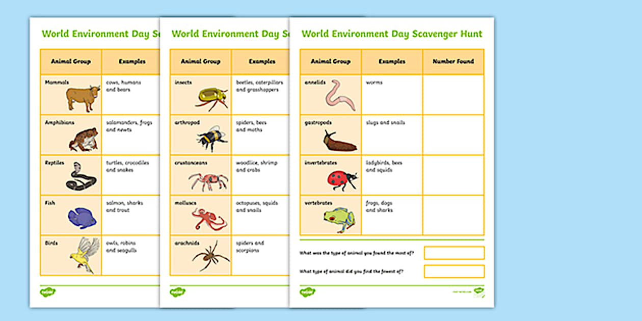 World Environment Day Scavenger Hunt Worksheet - Twinkl