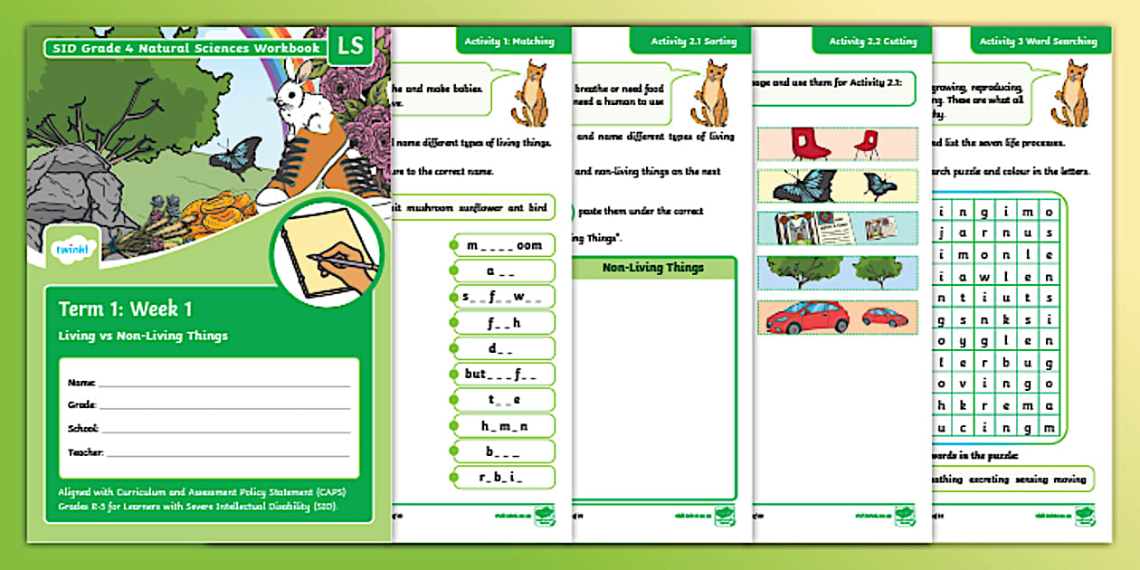 SID: Grade 4 Natural Sciences Booklet Term 1 Week 1 LS