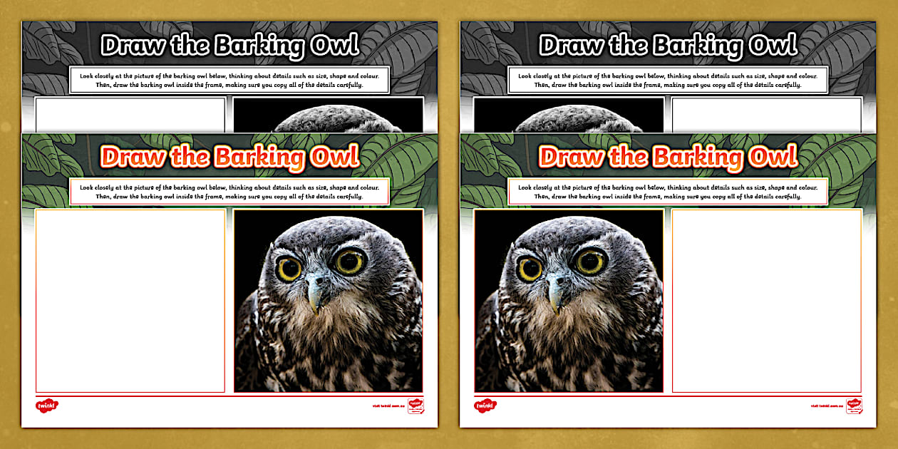 Draw the Barking Owl Worksheet, - Twinkl
