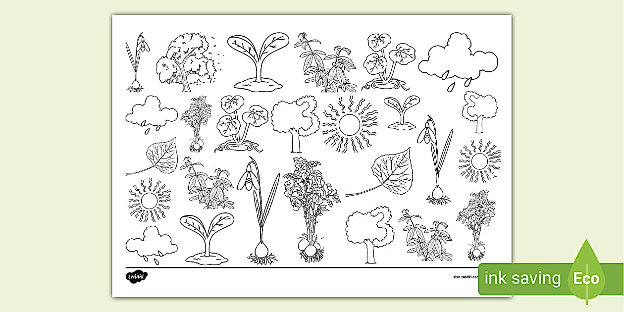 Nature Doodle Colouring Page (teacher made) - Twinkl