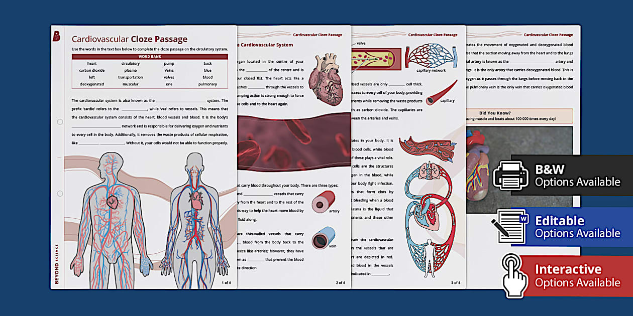Cardiovascular System Cloze Passage (teacher made) - Twinkl