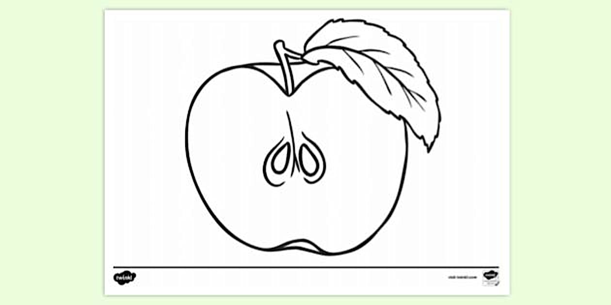 Apple Cut in Half Colouring Sheet | Colouring Sheets