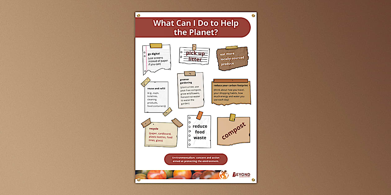 Environmentalism What Can I Do Poster (teacher made)
