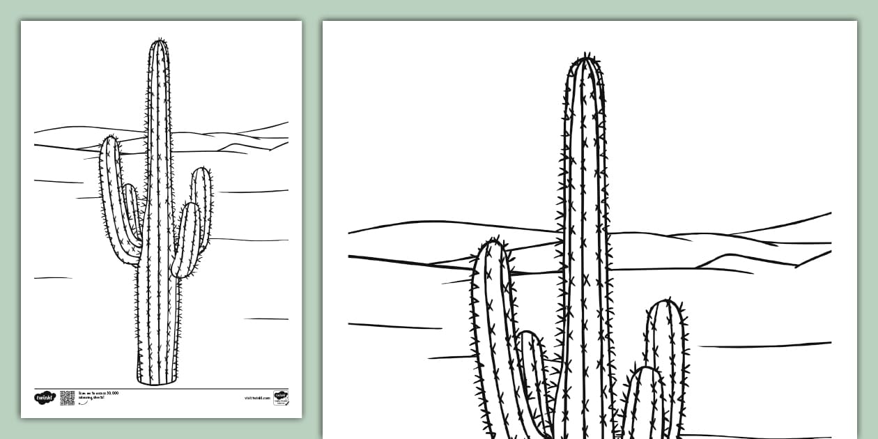 Cactus Colouring Sheet (teacher made) - Twinkl
