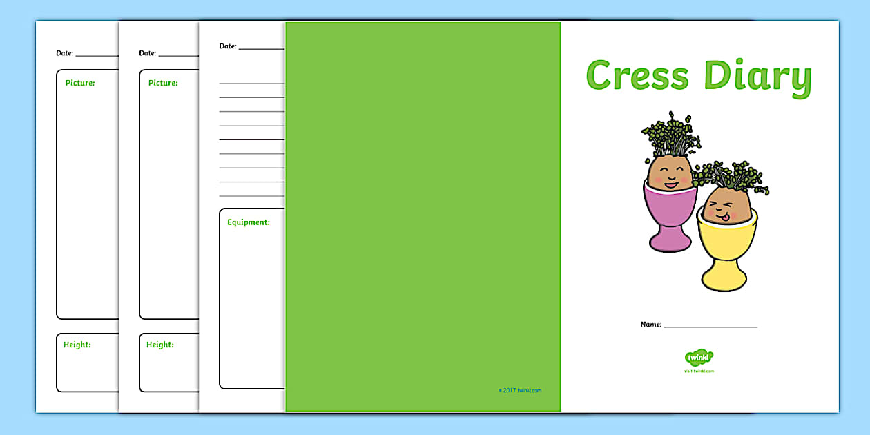 Growing Cress Diary Writing Frame (teacher made) - Twinkl