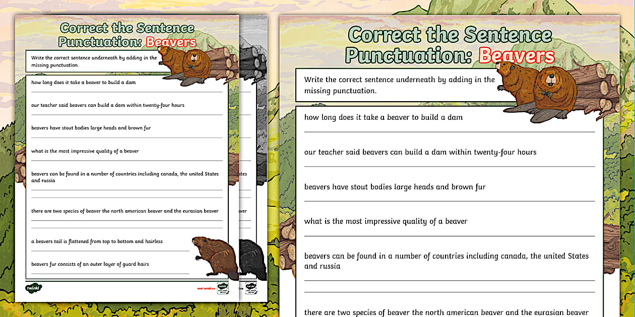 * NEW * Correct the Sentence Punctuation Worksheet - Twinkl