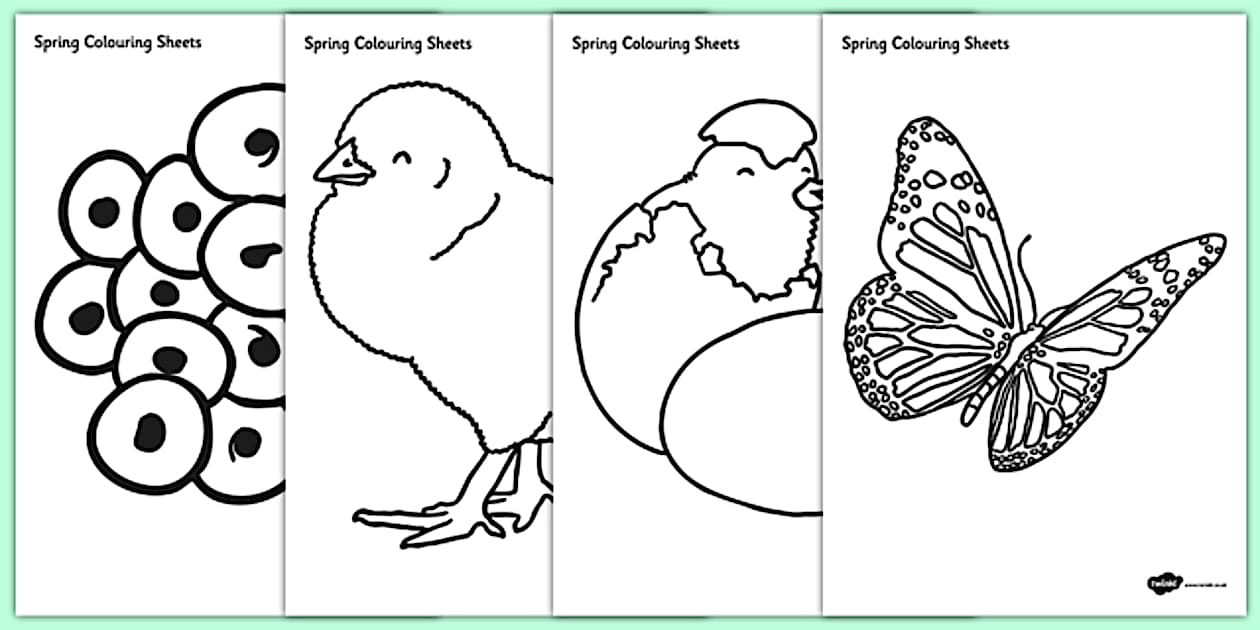 Springtime Colouring Sheets (teacher made) - Twinkl