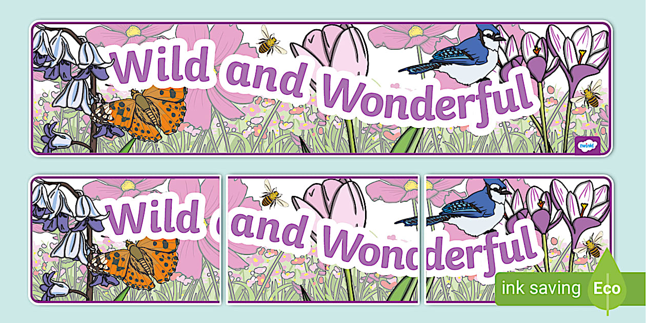 Wild and Wonderful Display Banner - Twinkl - KS1 - Twinkl