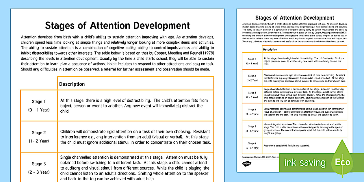 Stages Of Attention Development (teacher made) - Twinkl