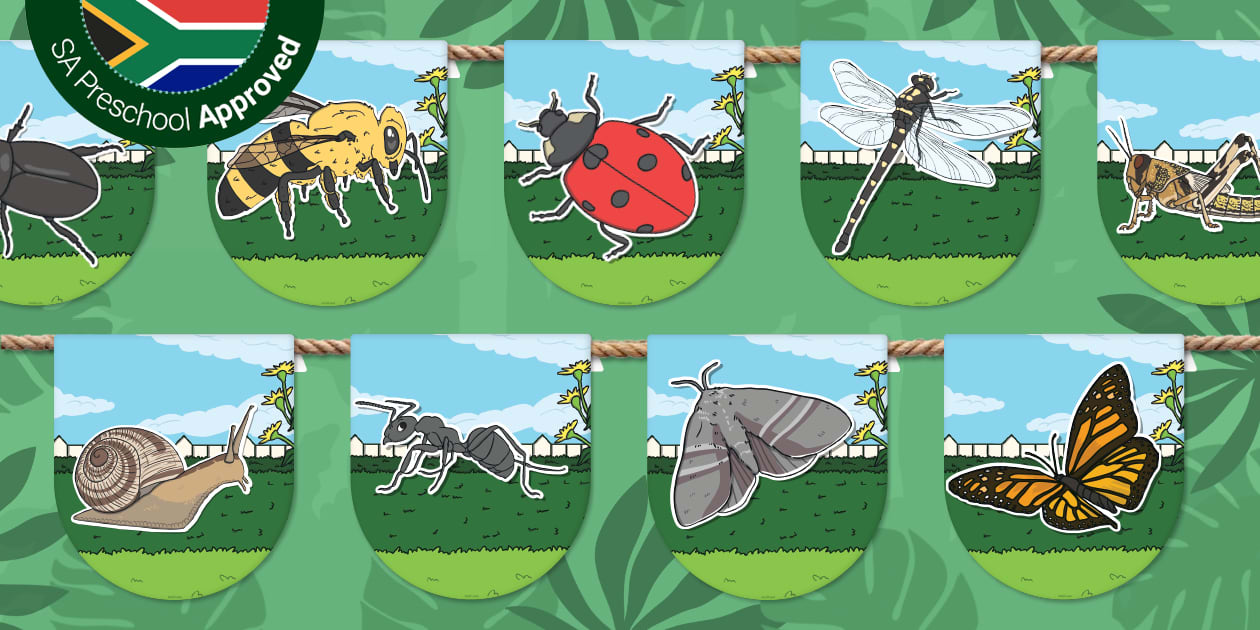 Insect-Themed Display Bunting (Teacher-Made) - Twinkl