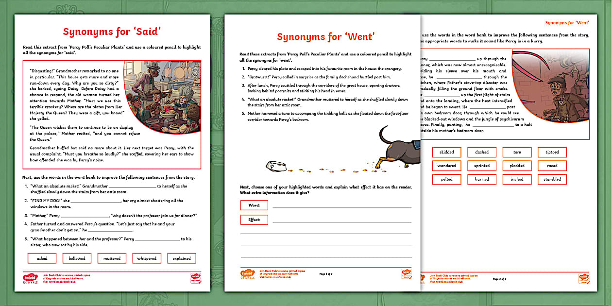Synonyms for 'Went' and 'Said' Activities | Twinkl Originals