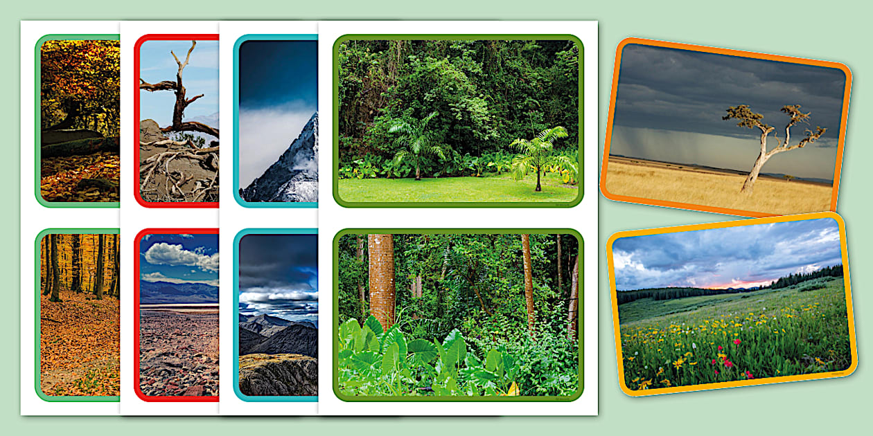 Land Habitats Photo Pack (teacher made) - Twinkl