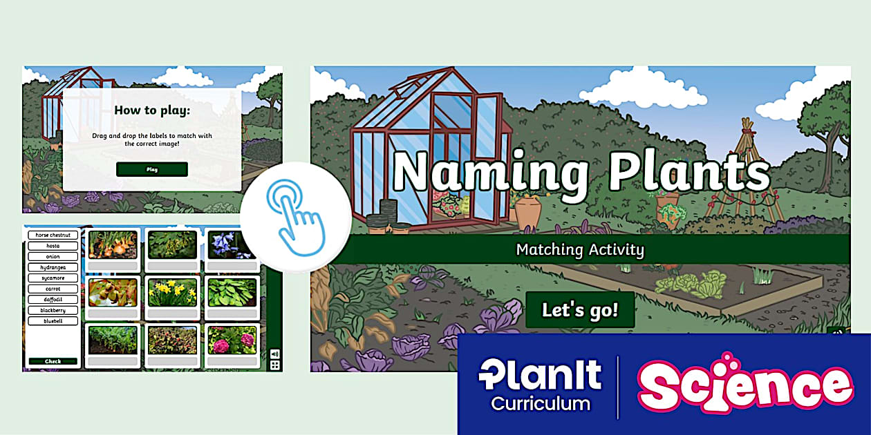 Identifying and naming plants game for year 1.