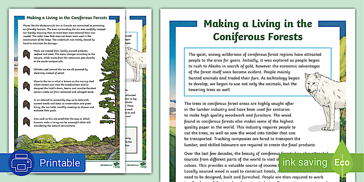 Coniferous Forests Comprehension | Case Study | Geography