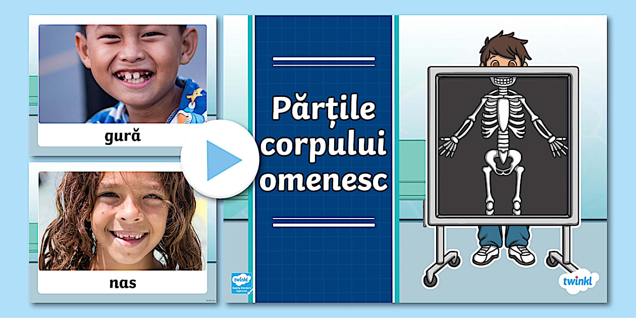 Corpul uman – Prezentare PowerPoint | Twinkl România