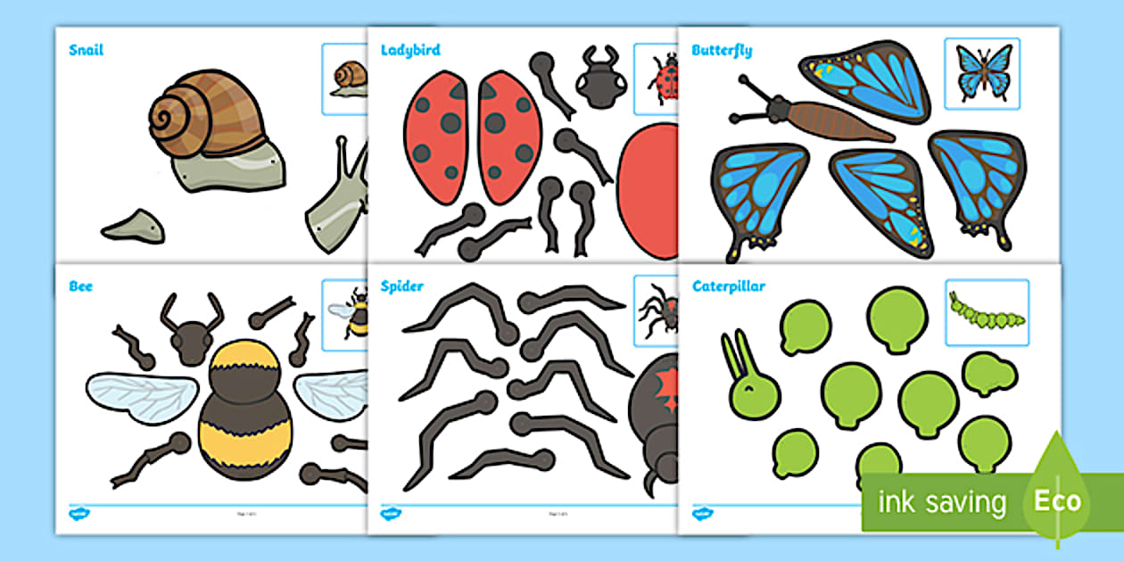 Split Pin Minibeasts - Split Pin Crafts (teacher made)