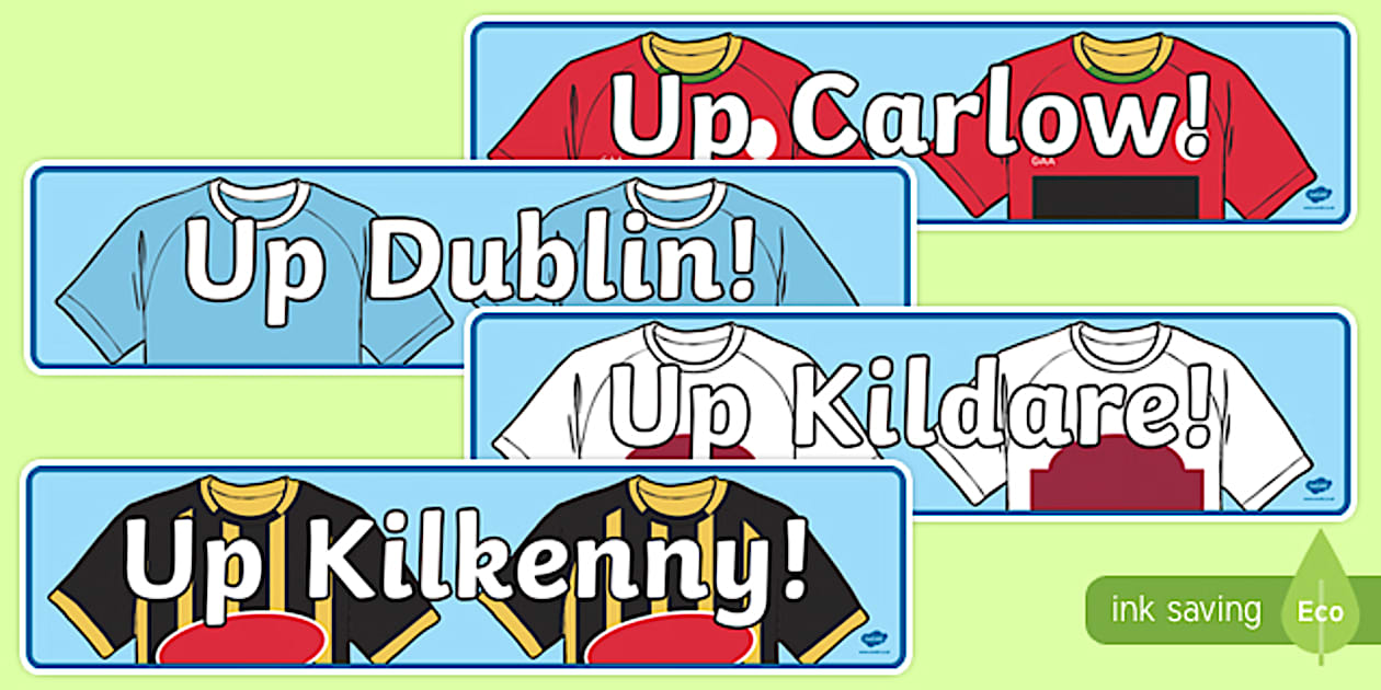 Leinster Counties GAA Display Banner-Irish - Twinkl