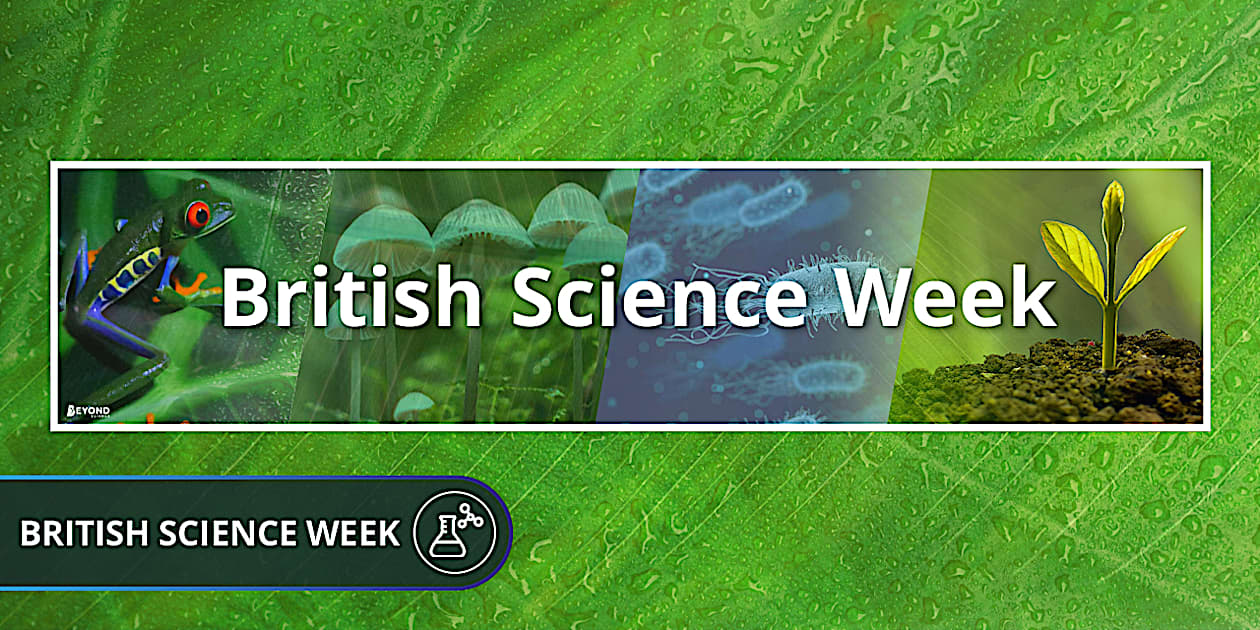 British Science Week Display Banner | KS3 Science | Beyond