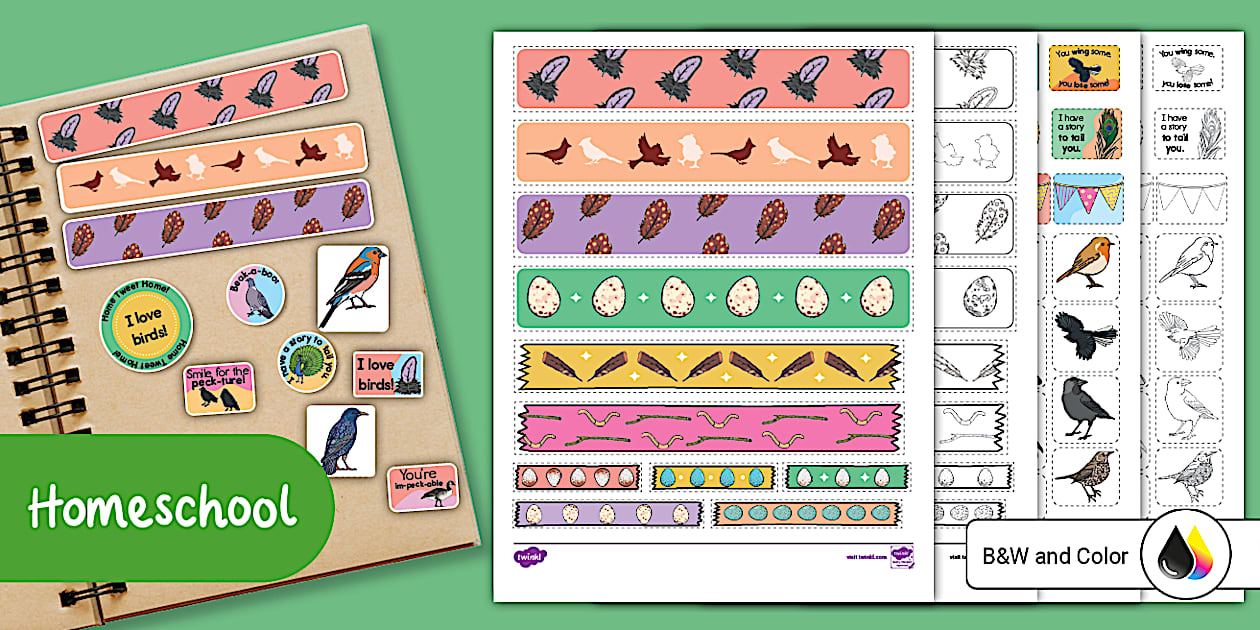 Bird Scrapbook Cutouts (teacher made) - Twinkl