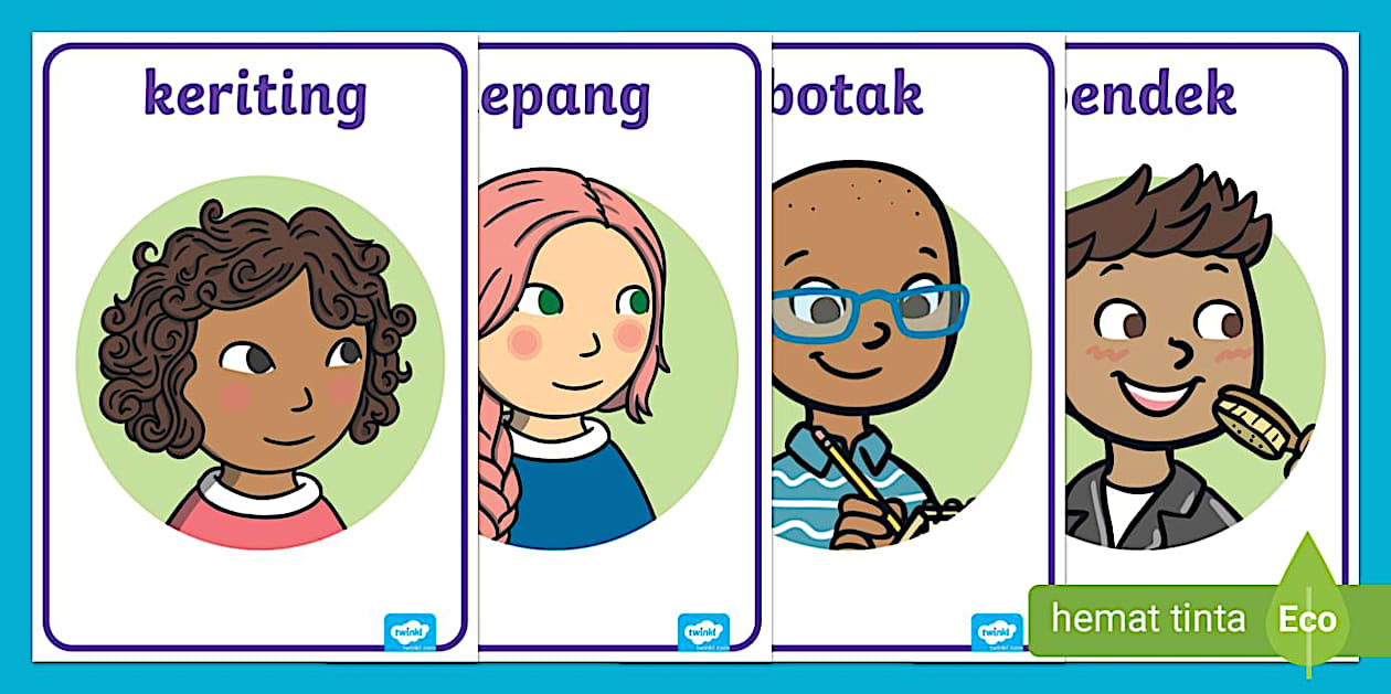 Poster Kosakata Ciri Fisik Jenis Gaya Rambut - Twinkl
