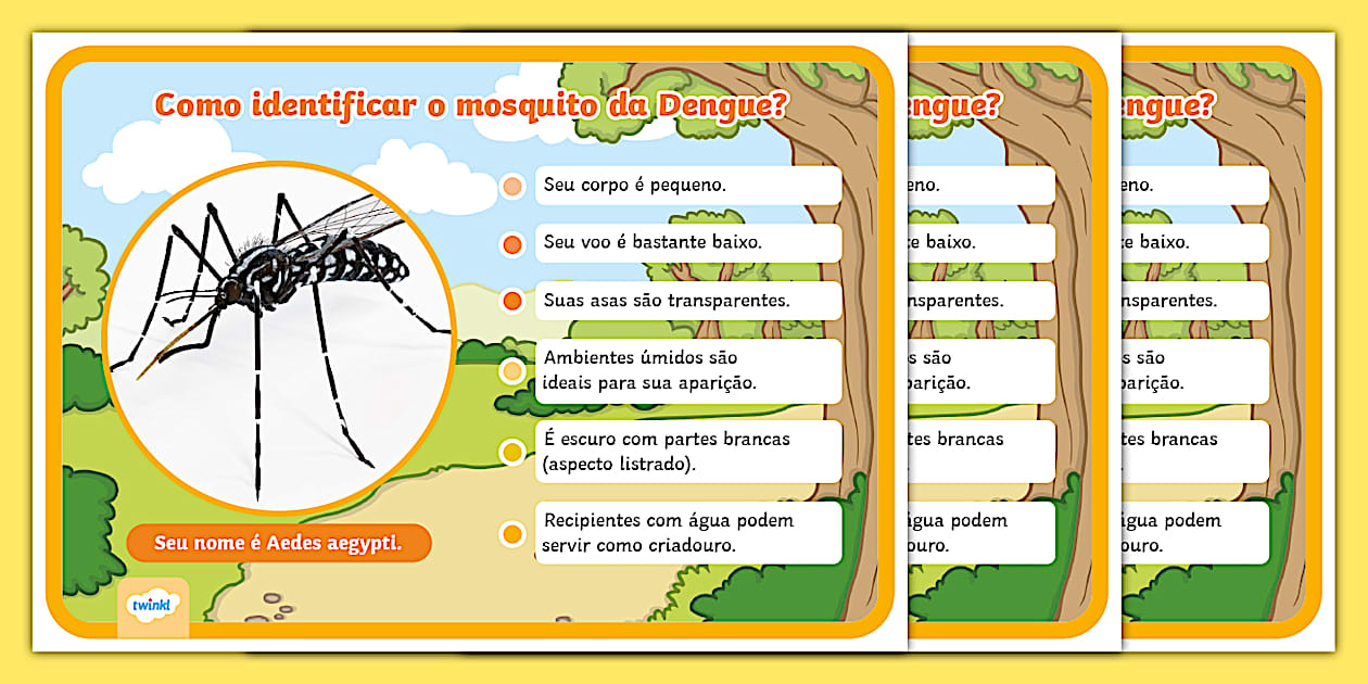 Como identificar o mosquito da dengue? - Pôster - Twinkl
